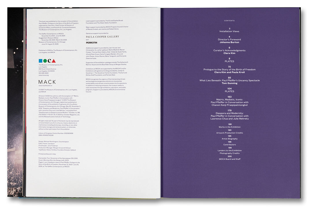 Paul Pfeiffer: Prologue to the Story of the Birth of Freedom – MACK