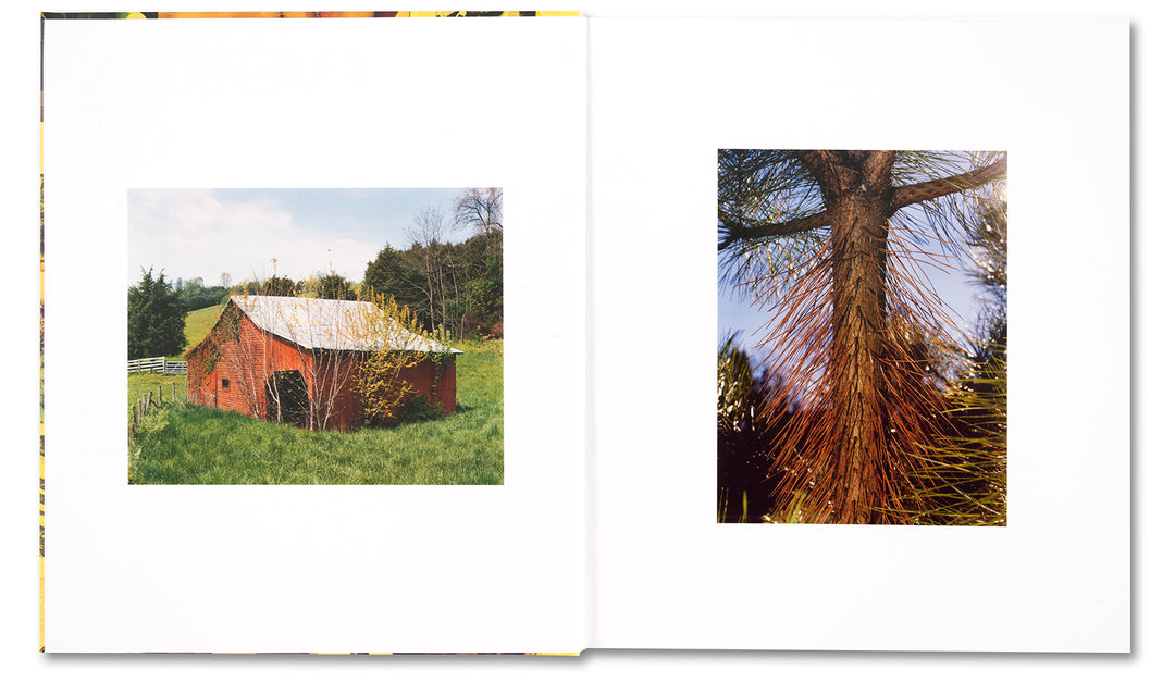 AMERICAN POLYCHRONIC – MACK