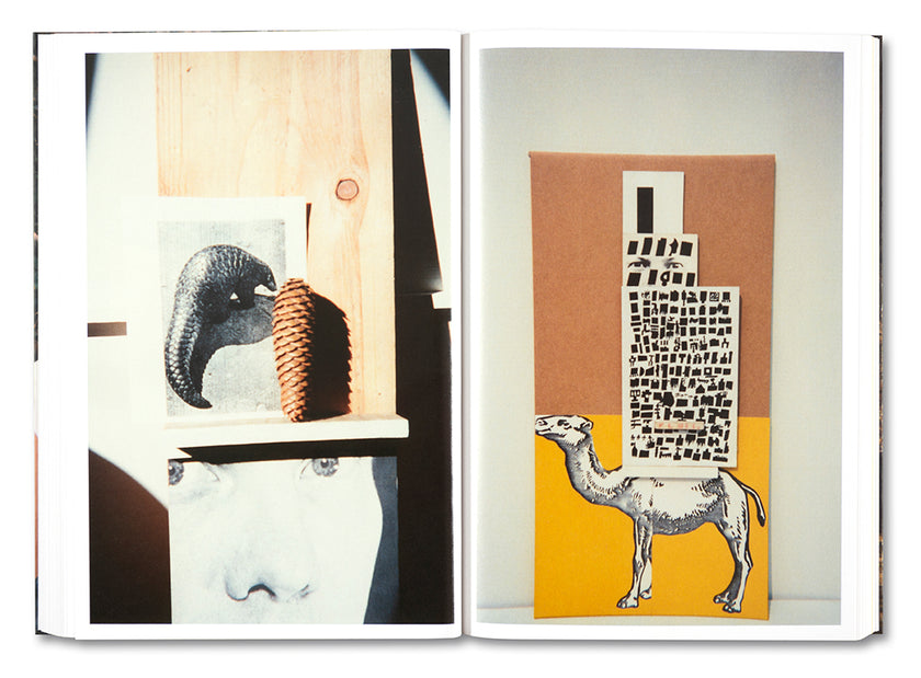 PLEASE SEND TO REAL LIFE: Ray Johnson Photographs – MACK