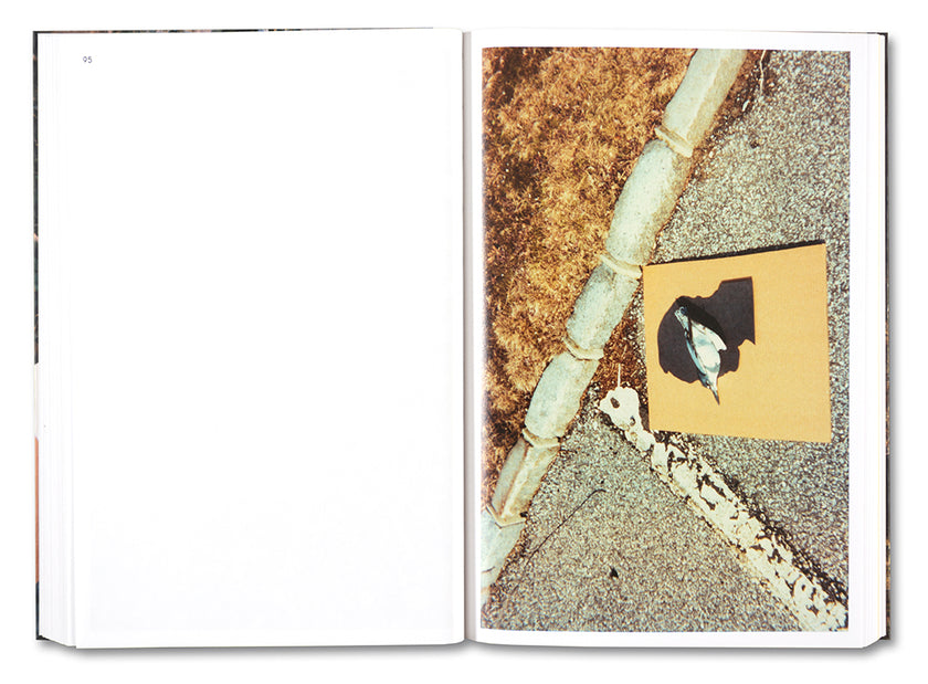 PLEASE SEND TO REAL LIFE: Ray Johnson Photographs – MACK