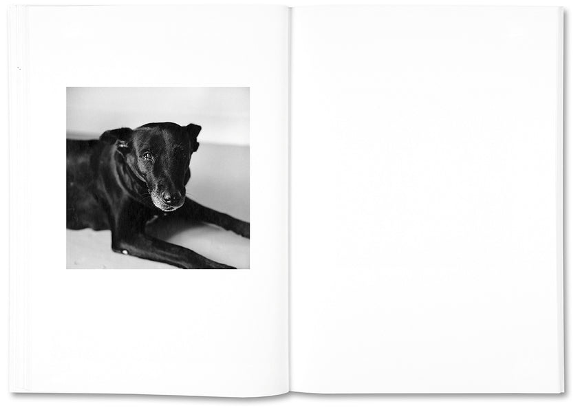 The Shabbiness of Beauty - Moyra Davey & Peter Hujar – MACK