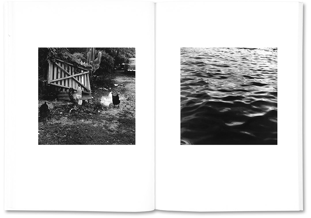 The Shabbiness of Beauty - Moyra Davey & Peter Hujar – MACK