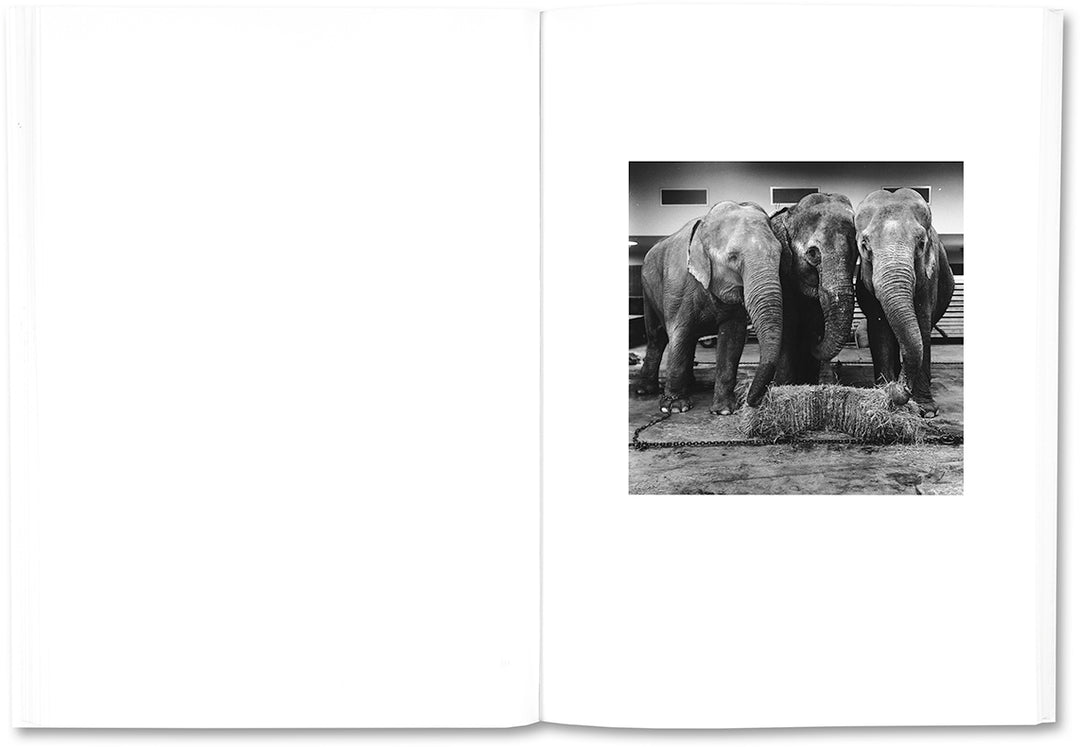 The Shabbiness of Beauty - Moyra Davey & Peter Hujar – MACK