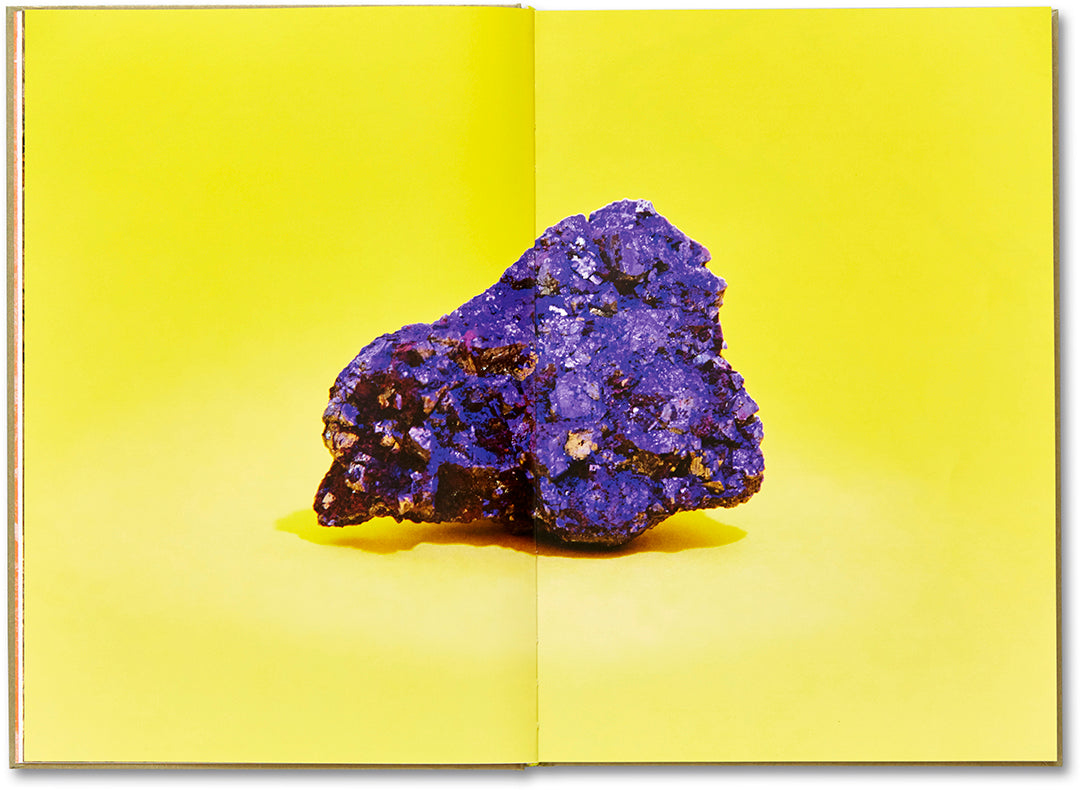 The Canary and The Hammer – MACK