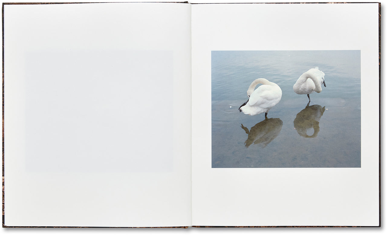 In Plain Air - Irina Rozovsky – MACK