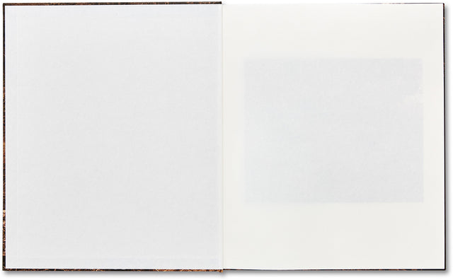 In Plain Air - Irina Rozovsky – MACK