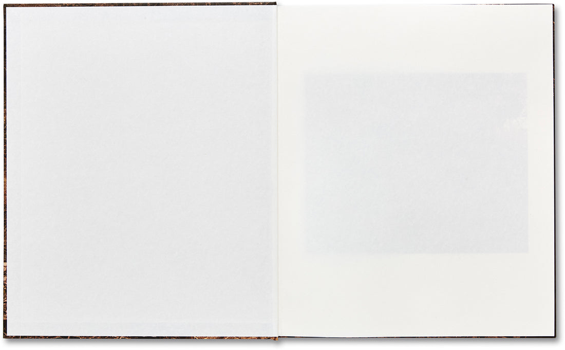 In Plain Air - Irina Rozovsky – MACK