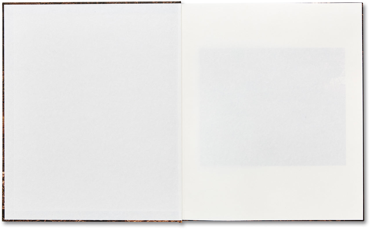 In Plain Air - Irina Rozovsky – MACK