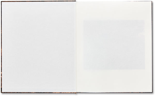 In Plain Air - Irina Rozovsky – MACK